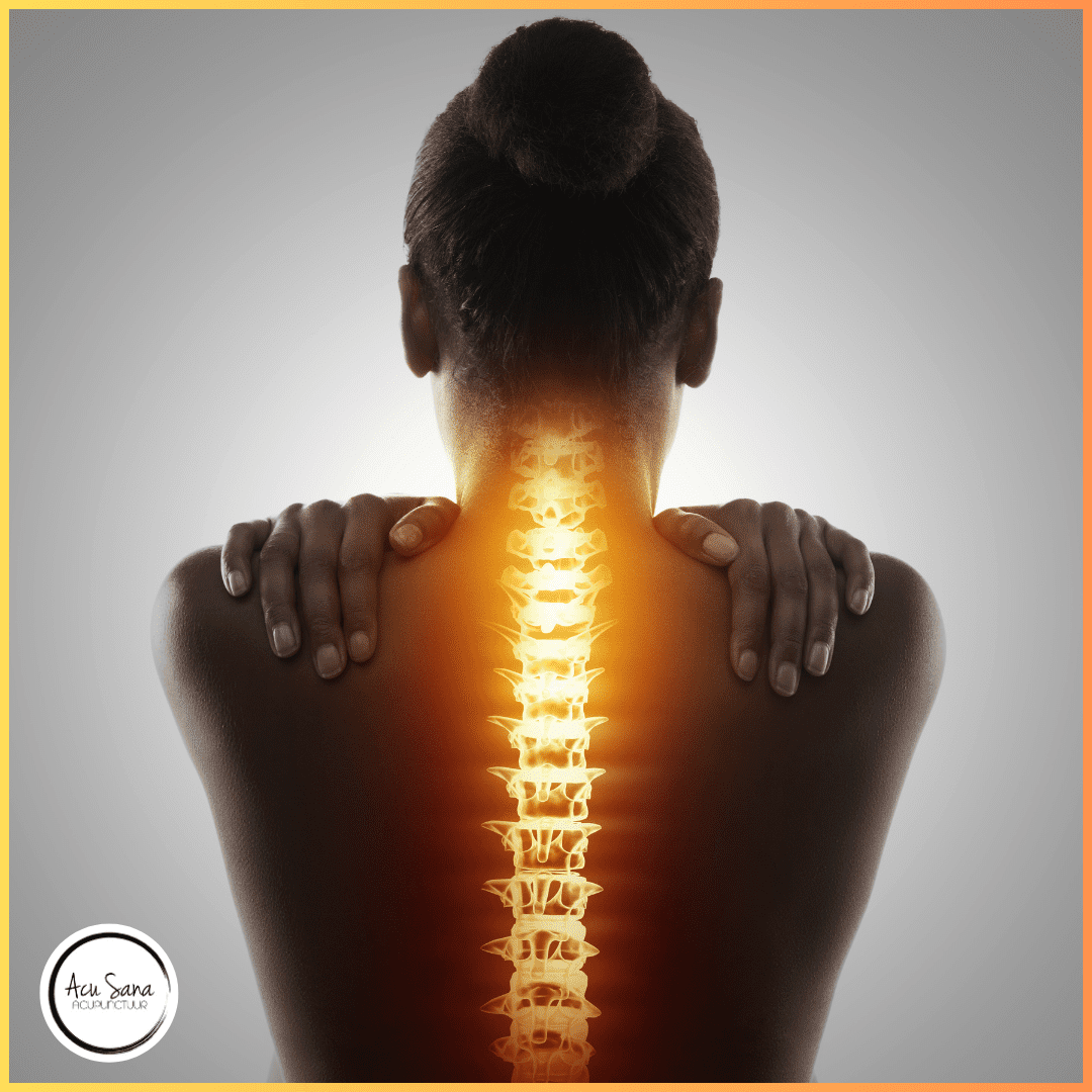 Rugpijn: Oorzaken, Tips en Trucs, en Hoe Acupunctuur Echt Helpt ...